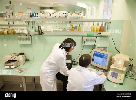 Quantification Of Genetically Modified Organisms Gmos Pcr Rt Dna Analysis Plant Health