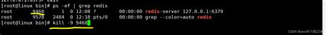 RedisLinux下redis 的安装启动与停止 阿里云开发者社区