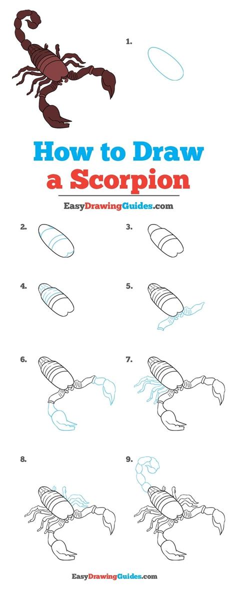How To Draw A Scorpion Really Easy Drawing Tutorial Artofit