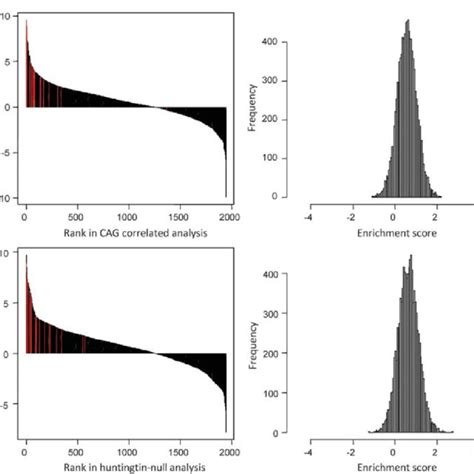 tests of gene set enrichment by phenotype permutation analysis the