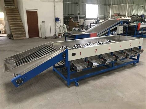 China Customized Onion Sorting Machine Suppliers Manufacturers Factory Good Price TOPP