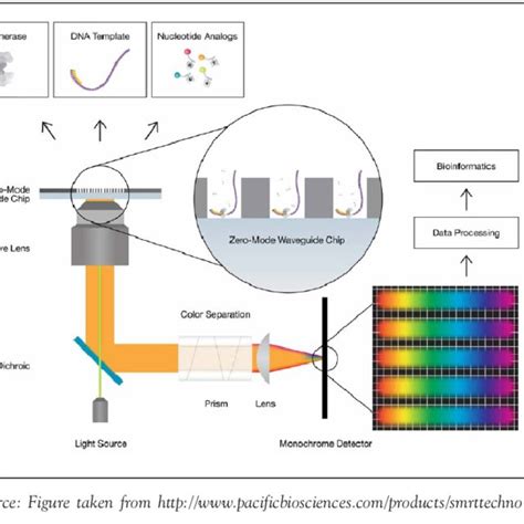 Next Generation Sequencing Methodology Download Scientific Diagram