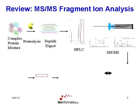 Peptide Mass Fingerprinting And Msms Fragment Ion Analysis