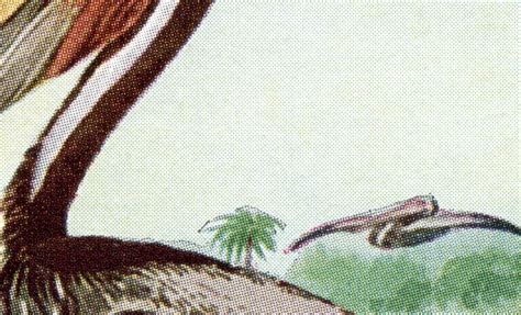 Fft Edge Issue Removing Printing Pattern Rgimp