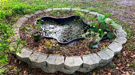 Just A Quick Look At My 125 Gallon Pond Youtube