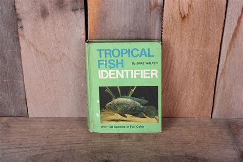 1973 Tropical Fish Identifier Aquarium Fish Tank Aquatic Guide How To