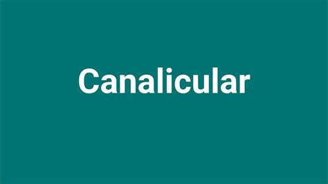 Canalicular Meaning And Pronunciation Youtube