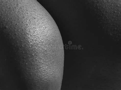 Detailed Texture Of Human Female Skin Close Up Part Of Woman S Body Skincare Bodycare