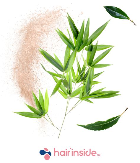 Hairinside™ Tu Fórmula Nutracéutica Para La Belleza Del Cabello