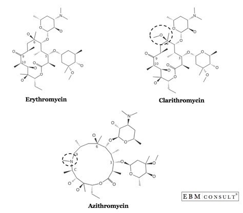 Why Do Clarithromycin And Azithromycin Cause Less Gi Side Effects Than Erythromycin