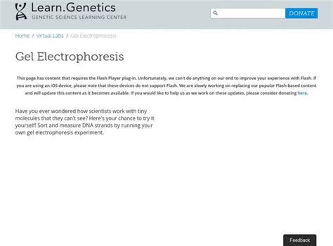 University Of Utah Learn Genetics Gel Electrophoresis Interactive For 9th 10th Grade