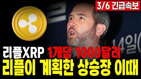 리플 전망 리플이 계획한 상승장 1개당 1000달러 정확히 이때부터입니다 리플코인대응 엑스알피 리플 Xrp Sec 리플소송 갈링하우스 트럼프 Youtube