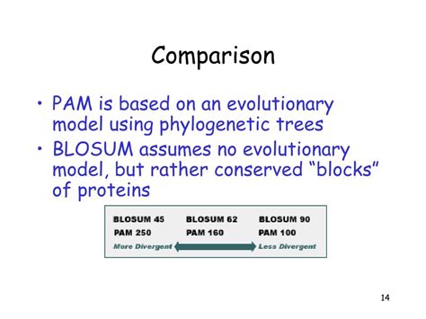 Ppt Alignment Iv Blosum Matrices Powerpoint Presentation Free