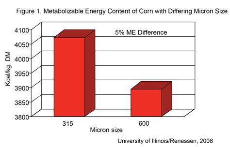 Corn Particle Size Pay Attention And Harvest The Value Standard Nutrition Services
