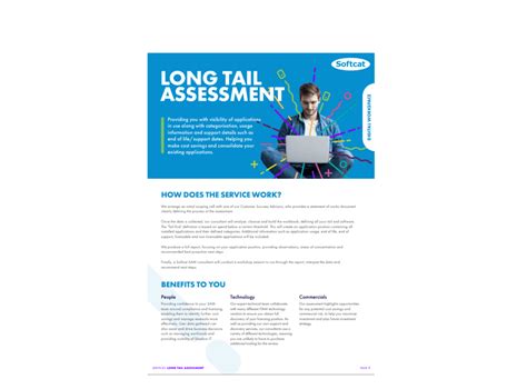 Long Tail Assessment Softcat Services