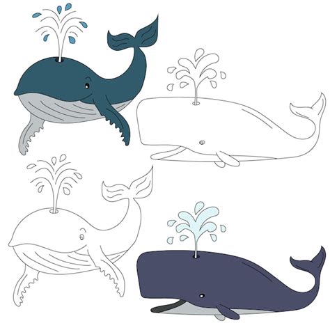 Whale Clipart Wassertiere Clipart Für Liebhaber Von Unterwasser