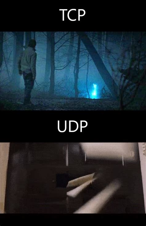 TCP Vs UDP In Harry Potter Universe R ProgrammerHumor