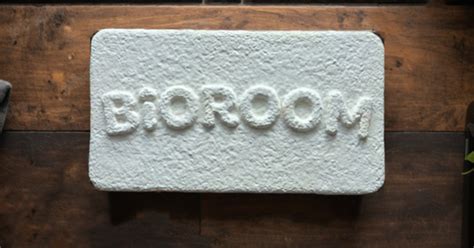 바이오룸 스티로폼 대체할 버섯 균사체 포장재 연구 활발