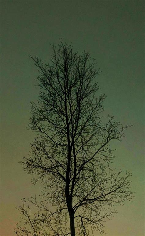 Only One Node Rnewworldgame