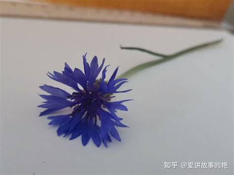 大学宿舍的生活 知乎