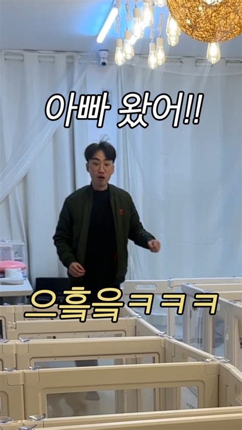 K아빠 이강태 이강길 K 아빠 와 아기 임보중 코숏 아기고양이 고양이입양 Instagram