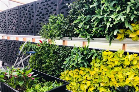 EcoWall | EcoWalls