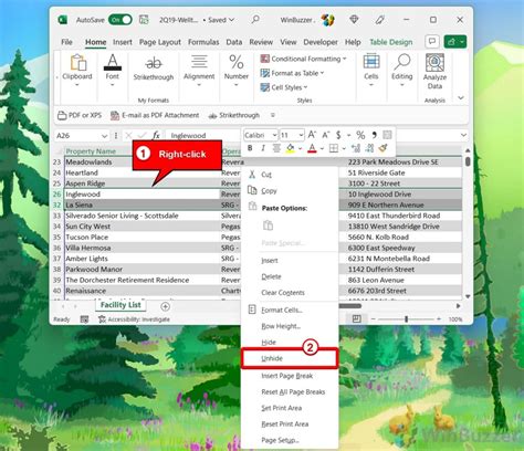 How To Hide And Unhide Rows And Columns In Excel