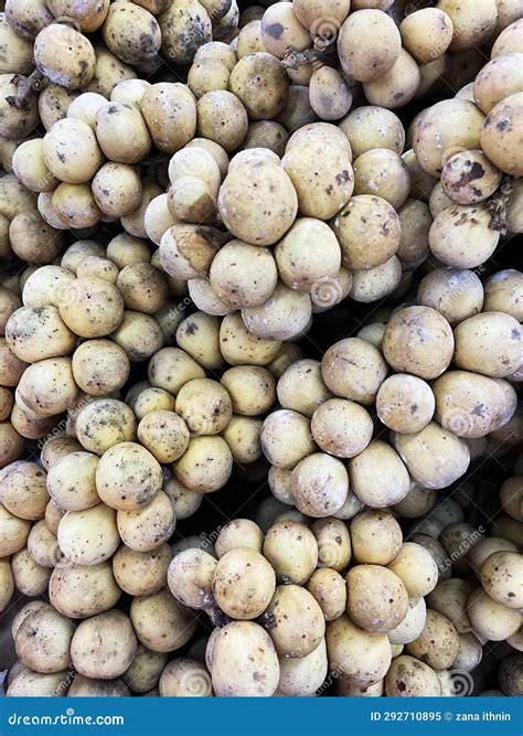 Duku Langsat Stock Image Image Of Close Langsat Malaysia 292710895