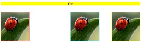 Html Img Inside Div Goes Outside Screen Stack Overflow