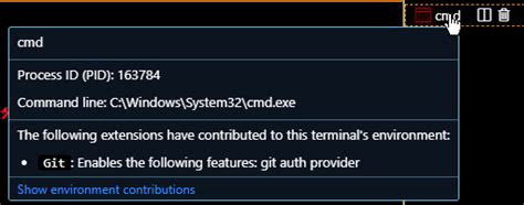 Sequence In Terminal Title Doesnt Result In Same Title As In Other