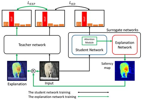 Explaining Neural Networks Using Attentive Knowledge Distillation
