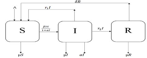 Diagram Of Epidemic Model Download Scientific Diagram