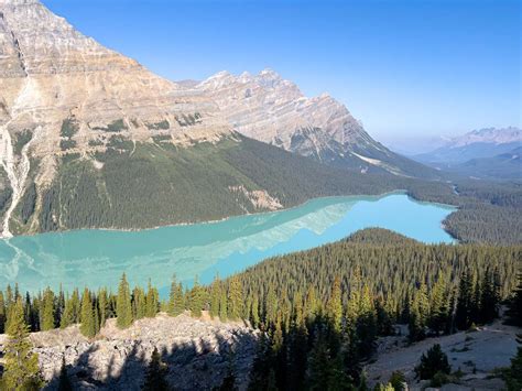 A Guide To Peyto Lake In Banff National Park Travel Banff Canada