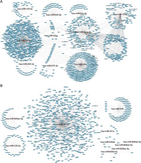 Mirnas And Mrna Interaction Network Analysis A Top 10 De Mirnas From