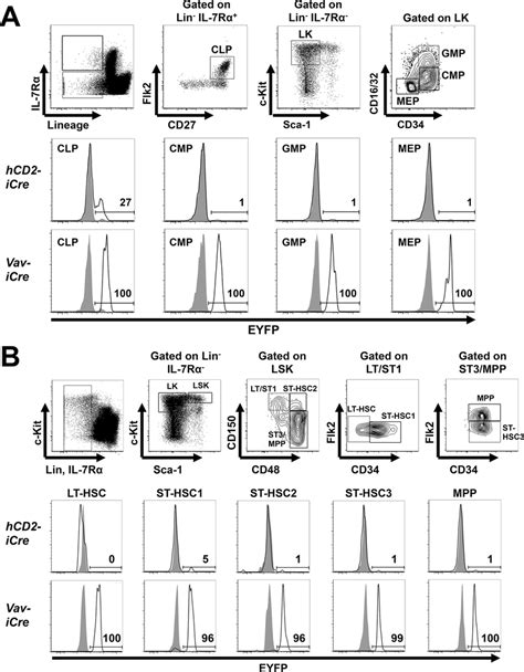 Hcd2 Icre Activity In Hsc And Hpc Subsets A Upper Panels Hpc