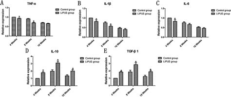 The Mrna Expression Of Proinflammatory Cytokines A B C And