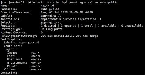 K8s中kubectl陈述式声明式资源管理 Csdn博客