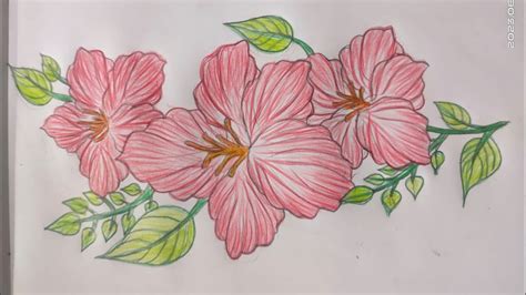 How To Draw A Pink Flower At Nicholas Cox Blog
