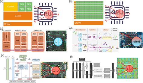 Ab Gpu And Cpu Accelerators For Ann C Spinnaker Neuromorphic Chip Download Scientific Ab Gpu And Cpu Accelerators For Ann C Spinnaker Neuromorphic Chip Download Scientific