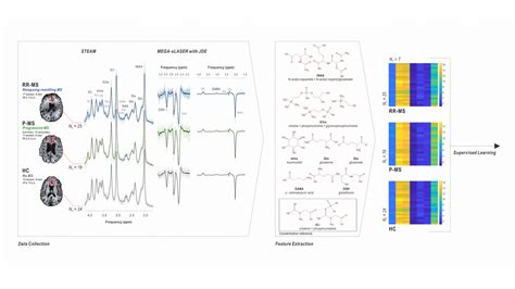 Novel Application Of Machine Learning To 1h Mrs Metabolomics Of