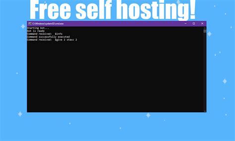 Create A Custom Discord Self Hosting Bot For Your Server By Nitrozena Fiverr