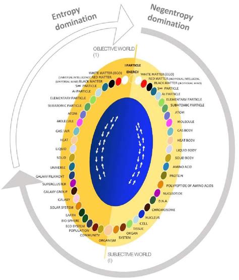 What Is The Opposite Of Entropy Negentropy Concept Astronomy Explained