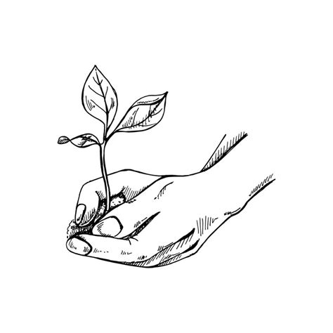 Hand Drawn Sketch Of Tree Sprout In Hand Eco Ecology Care Saving The Nature Harvest Concept
