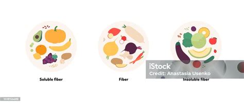 건강한 식생활 개념을위한 음식 가이드 벡터 플랫 디자인 다양한 용해성 및 불용성 섬유 소스 제품 흰색 배경에 고립 된 원 프레임에 다채로운 기호 식이 섬유에 대한 스톡 벡터