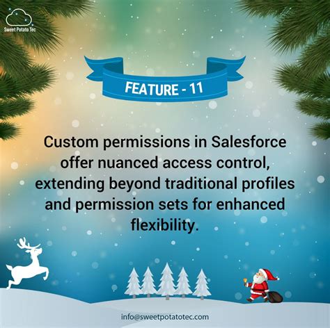 Sweet Potato Tec On Linkedin Salesforce Salesforcesecurity Useraccess