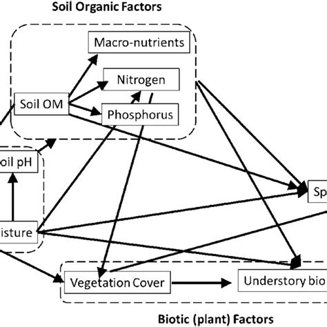A Priori Path Models Showing Possible Multivariate Interrelationships
