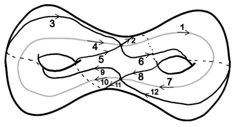 A Length Minimizing Filling Curve In The Compact Riemann Surface Of Download Scientific Diagram