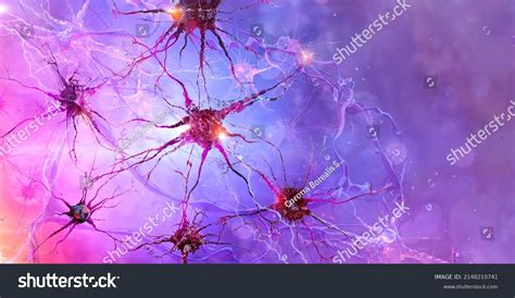 Human Brain Neural Network Active Neuron Stock Illustration 2148210741