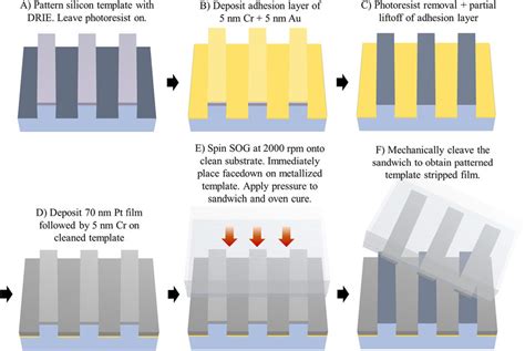 Schematic Of Patterned Template Stripping Process Download