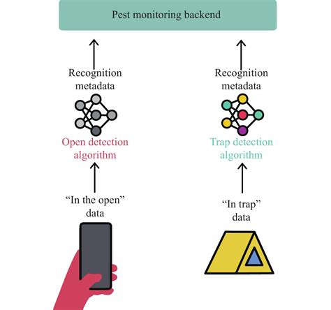 Precise Agriculture Effective Deep Learning Strategies To Detect Pest Insects